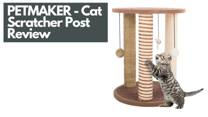 PETMAKER 6-Foot Cat Tower Review - Mr Product Reviews